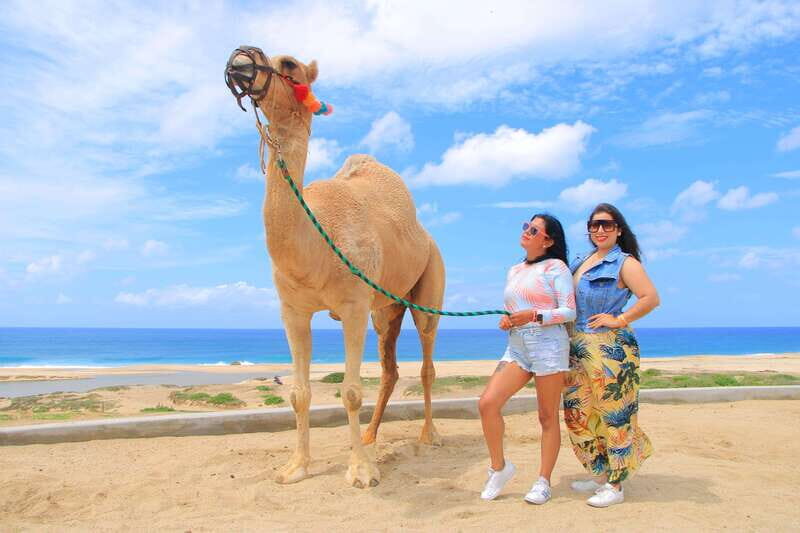 Combo 4X4 Automatic ATV & Camel Ride in Cabo by Cactus Tours - Overall Value & Who It’s Best For