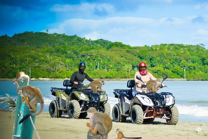Combo: Adventure in ATV and Monkeys - Key Points: