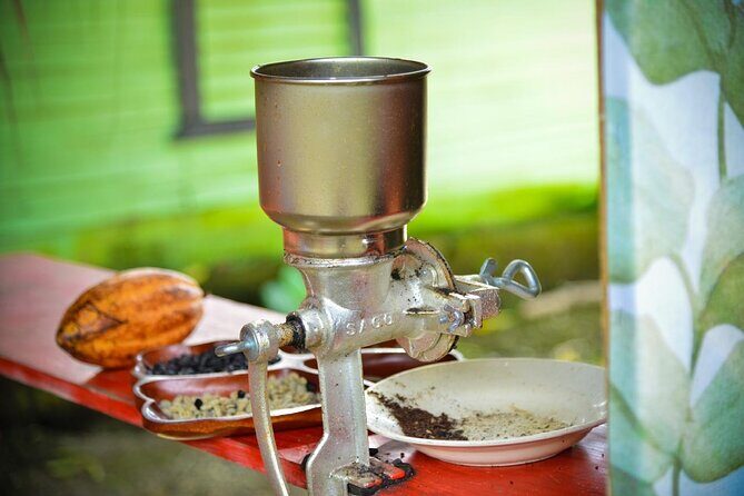 Combo: Adventure in ATV and Monkeys - Overview of the Experience