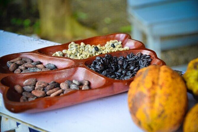 Combo: Adventure in ATV and Monkeys - The Sum Up