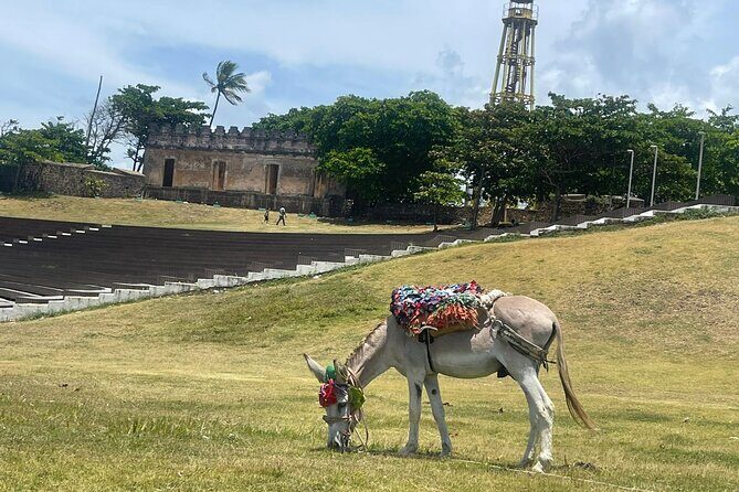 Combo : ATV Adventure & Cultural City Tour with Lunch - Who Will Love This Tour?