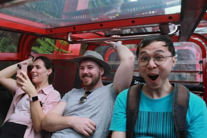 Combo: Blue Mountain Tour + Sydney Hop-on-Hop-off Bus Ticket - Key Points