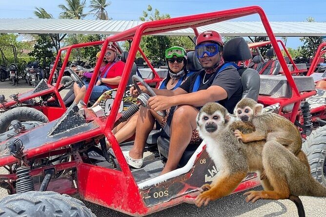 Combo: Buggy and Monkeys in Puerto Plata Group Adventure - Key Points