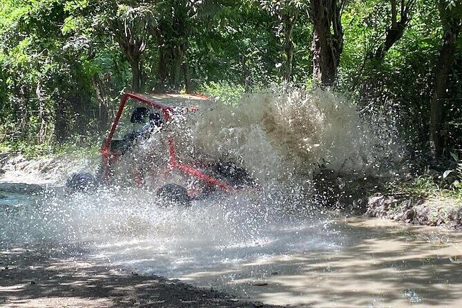 Combo: Buggy and Monkeys in Puerto Plata Group Adventure - An In-Depth Look at the Tour