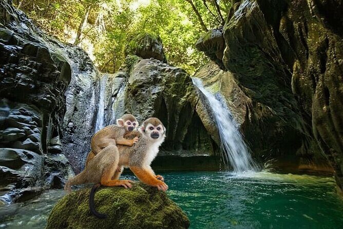 Combo : Damajagua and Monkeys Group Tour in Puerto Plata - Key Points