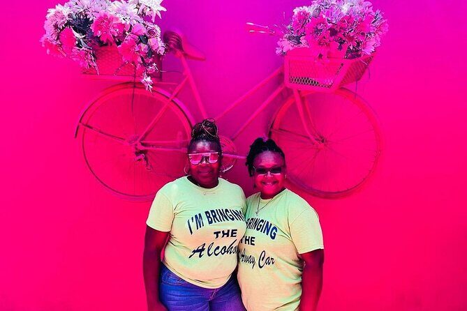 Combo : Damajagua Waterfalls and City Tour with Dominican Lunch - An In-Depth Look at the Puerto Plata Combo Tour