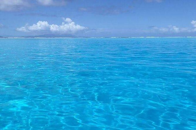 Combo Diving and Snorkeling Half-Day Tour - The Value of a Private, Customized Experience