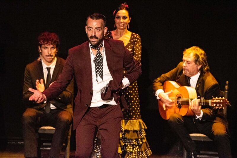 Combo: Hop on hop off + Flamenco Show & Walking tours - Introduction