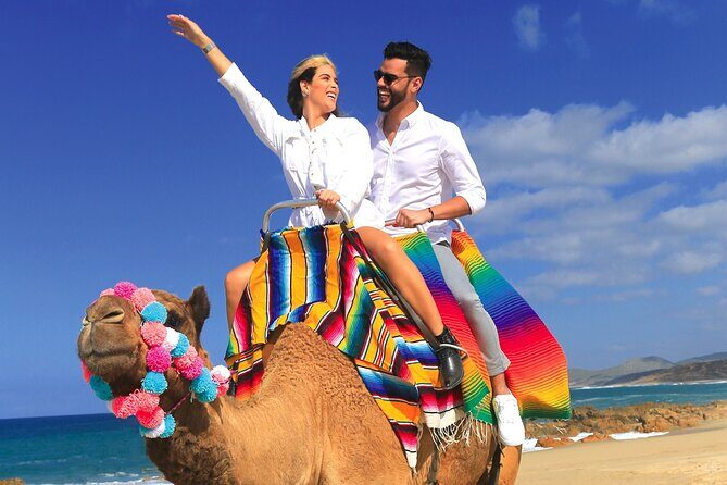 Combo Horseback ride & Sky Bike in Cabo by Cactus Tours Park - Final Thoughts: A Well-Rounded Baja Adventure