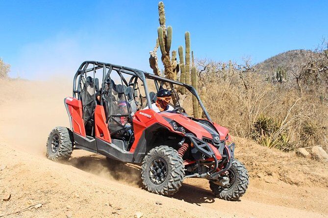 COMBO Horseback Riding & UTV Tour - A Closer Look at the Tour Experience