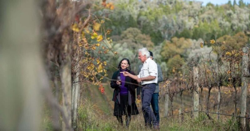 Combo: Hunter Valley Tour + Sydney Hop-on-Hop-off Bus Ticket - Transportation and Comfort