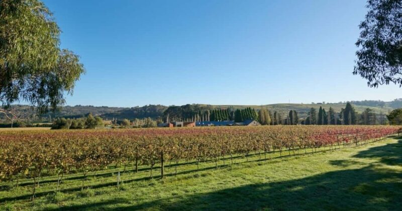 Combo: Hunter Valley Tour + Sydney Hop-on-Hop-off Bus Ticket - Who Should Consider This Tour?