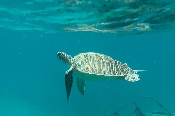 Combo Jeep Tour & Private Sailing Yacht - St Thomas - St John - Final Thoughts: Is This Tour for You?