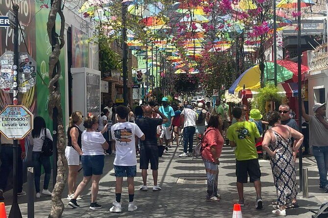 Combo : of Monkeys and Historical City Tour - What’s Included and What You’ll Pay For