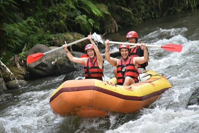 COMBO PACKAGE: Ayung River Rafting and Ubud Tour - What You Can Expect at Each Stop