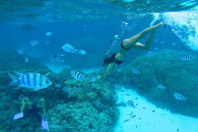 Combo snorkeling + motu lunch + jet ski group tour full day - The Motu Lunch: A Polynesian Feast in Paradise