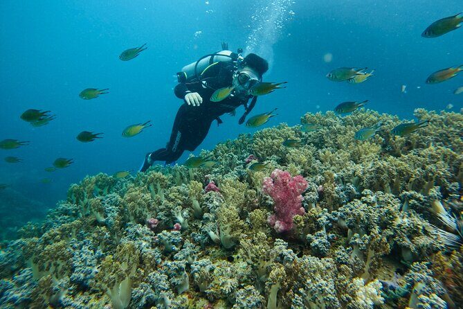 Combo Speedboat Hon Tam Mud Bath With Buffet Lunch - Final Thoughts: Who Will Love This Tour?