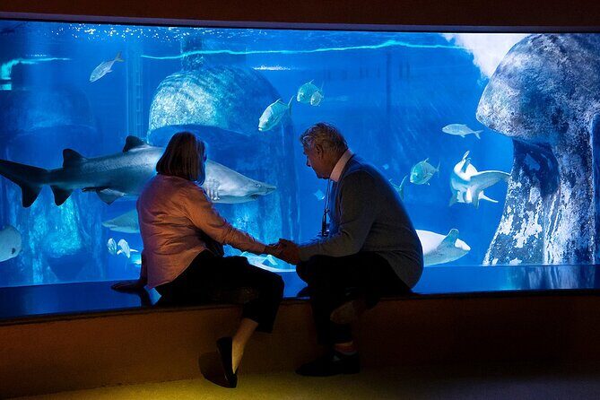Combo Ticket: Madame Tussauds & SEA LIFE London Aquarium - The SEA LIFE London Aquarium Experience