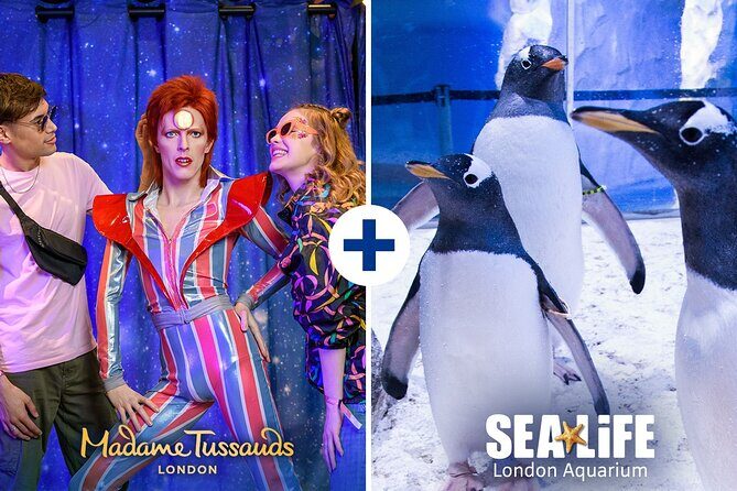 Combo Ticket: Madame Tussauds & SEA LIFE London Aquarium - Final Thoughts: Is the Combo Ticket Worth It?
