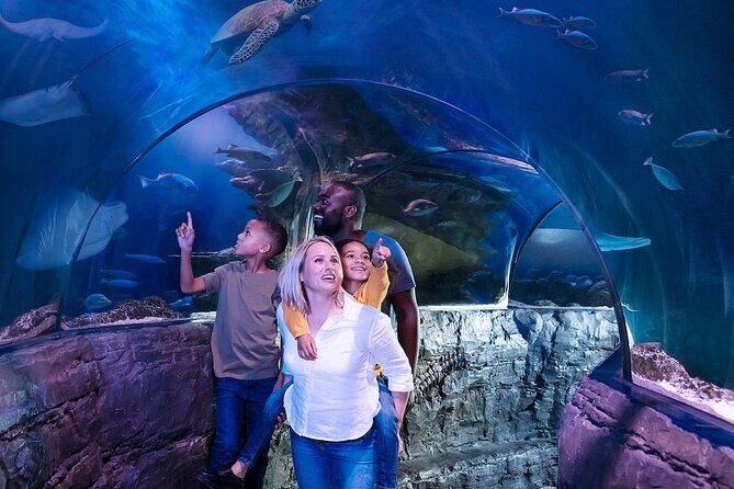 Combo Ticket: Madame Tussauds & SEA LIFE London Aquarium - FAQ