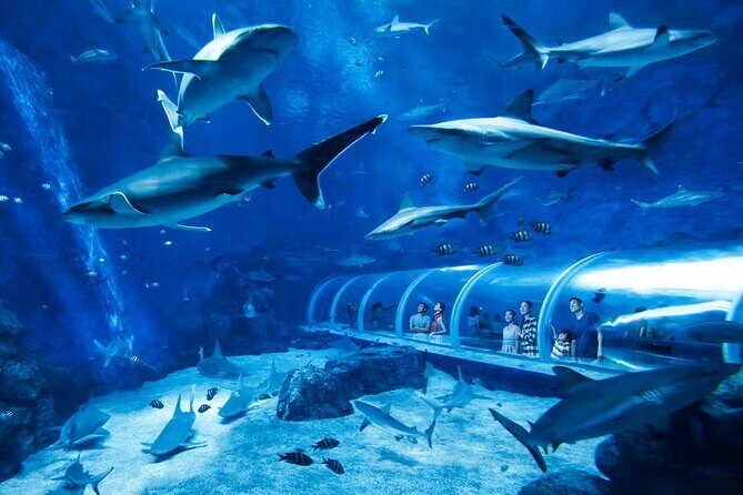 Combo Tickets for Universal Studios and Gardens by the Bay - An In-Depth Look at the Experience