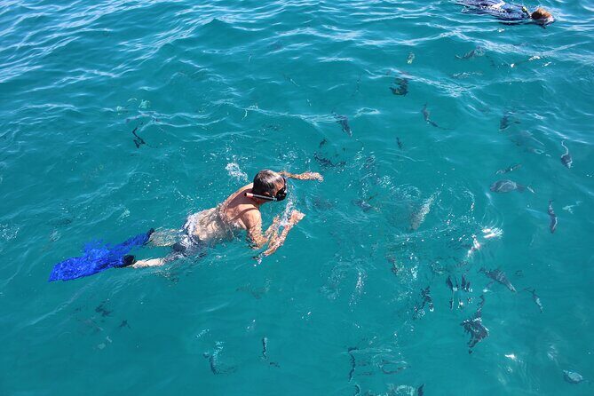 Combo Tour: City Tour of Cabo San Lucas and Beach Day - Transportation, Group Size, and Overall Value
