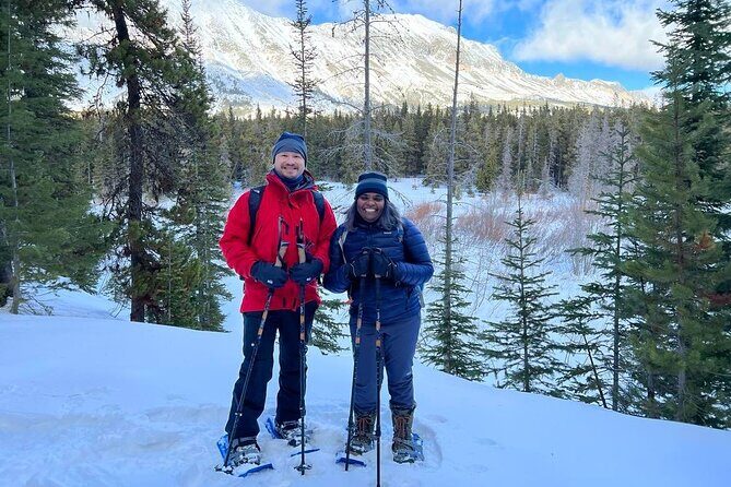 Combo Tour: Driving and Snowshoe Trek of Glacier National Park - A Deep Dive into the Experience