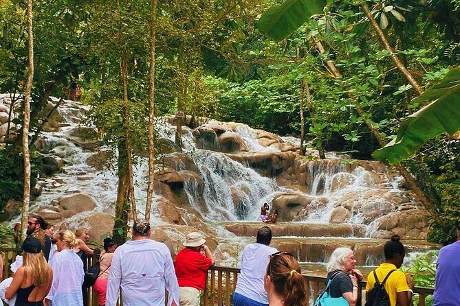 Combo Tour Dunn's River Falls and BlueTour from falmouth - Key Points