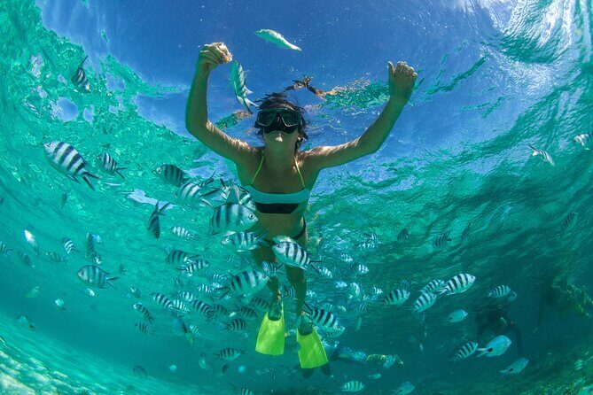 Combo Tulum- Coba & Cenotes + Isla Mujeres Catamaran - The Sum Up: Is This Tour Worth Your Time?