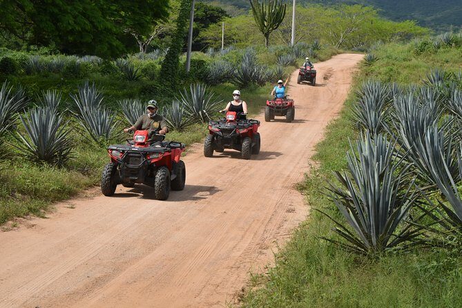 COMBO Zip lines and ATV´s at Hacienda Los Osuna - Booking, Cost, and Value