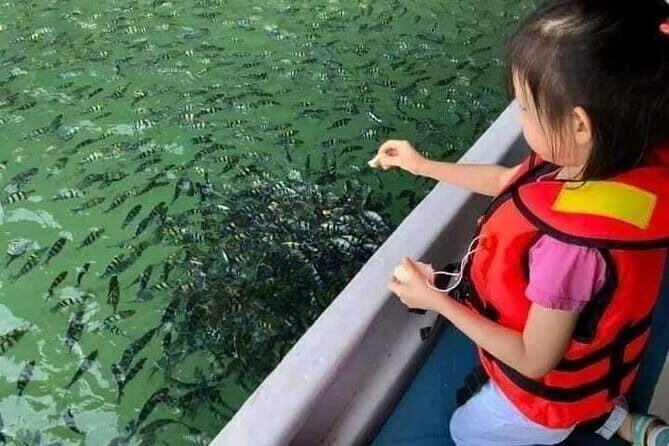 Combo:Langkawi Snorkeling & Tg Rhu mangrove private boat tour - An In-Depth Look at the Langkawi Snorkeling & Mangrove Tour