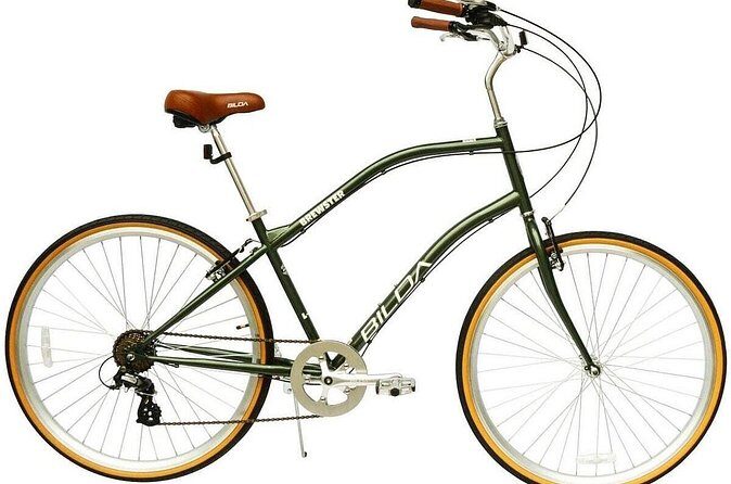 Comfort Hybrid Bike Rental - Why Choose the Comfort Hybrid Bike Rental in Charleston?