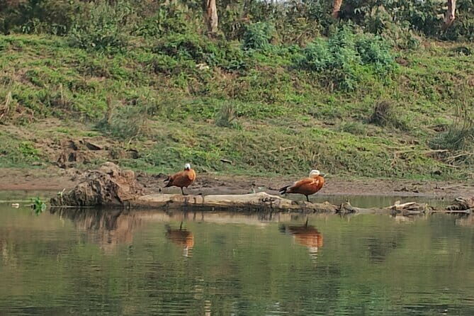 Comfort : Private Transportation from Chitwan to Kathmandu - FAQs