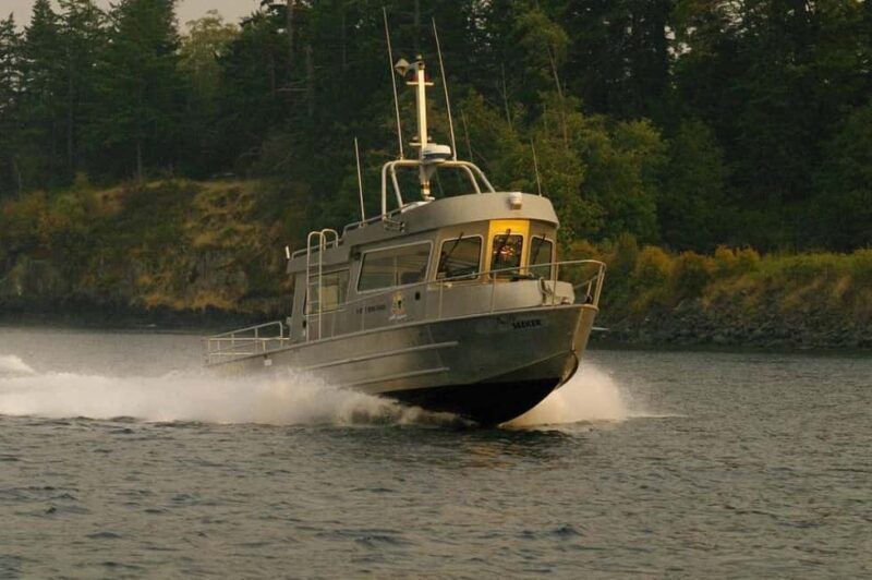 Comox: 4 Hour Whale and Wildlife Watching Tour - Key Points