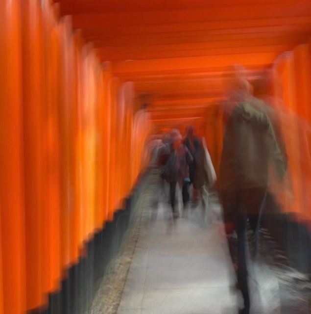 Compact Kyoto day tour experience - Experiences and Reviews from Others