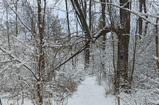 Complete Guided Tour of Niagara Attractions and Trails - Authentic, Outdoor-Focused Experience