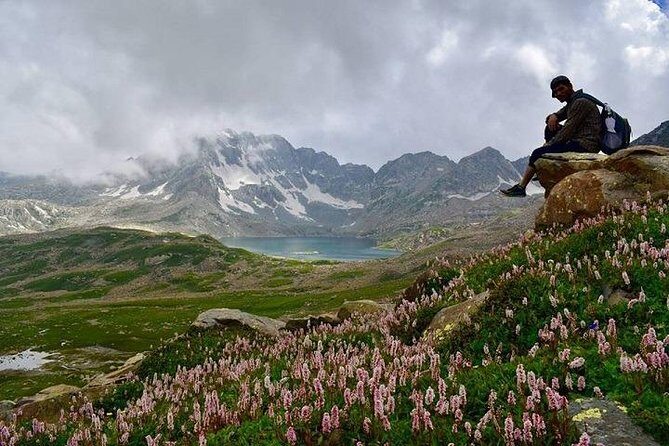 Complete Himachal Tour 8 Nights 9 Days Starting from Delhi - Who This Tour Is Best For