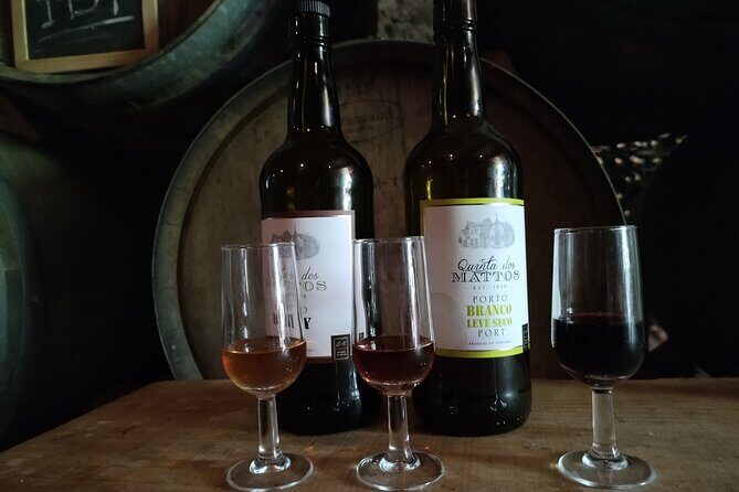 Complete Private Douro Valley Wine Tour - The Reviews and Real Traveler Experiences