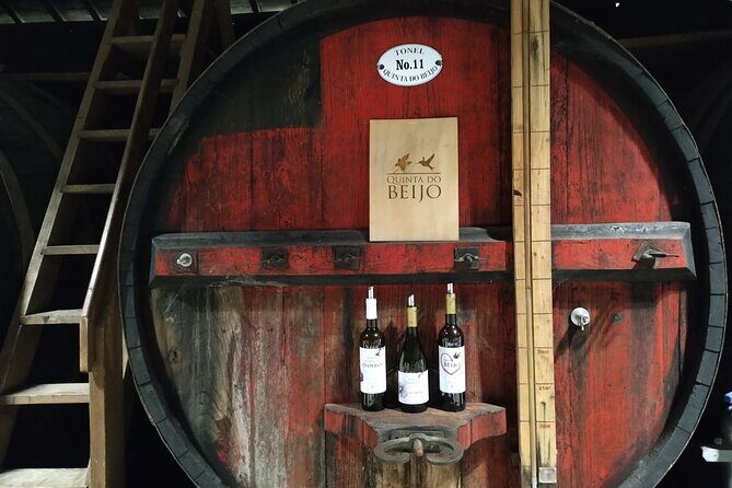 Complete Private Douro Valley Wine Tour - The Sum Up: Who Will Love This Tour?