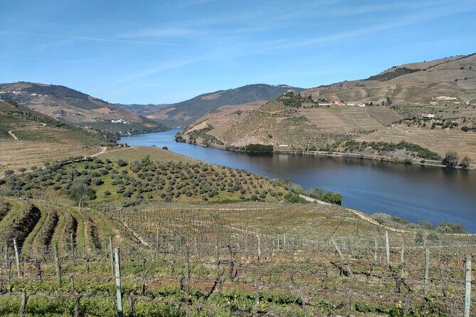 Complete Private Douro Valley Wine Tour - FAQ