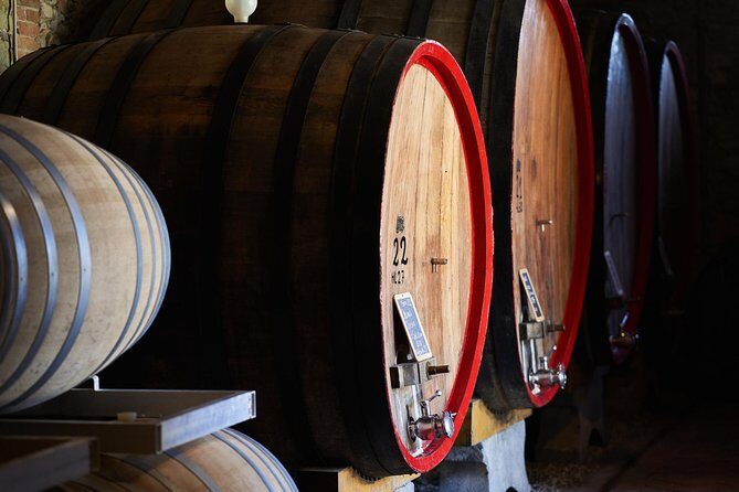Complete tasting of Castello di Bossi - The Sum Up: Why This Wine Tasting Stands Out
