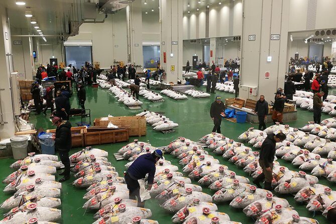 Complete Tuna Auction & Toyosu Fish Market Tour - The Experience: What You Can Expect