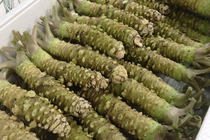 Complete Tuna Auction & Toyosu Fish Market Tour - The Sum Up