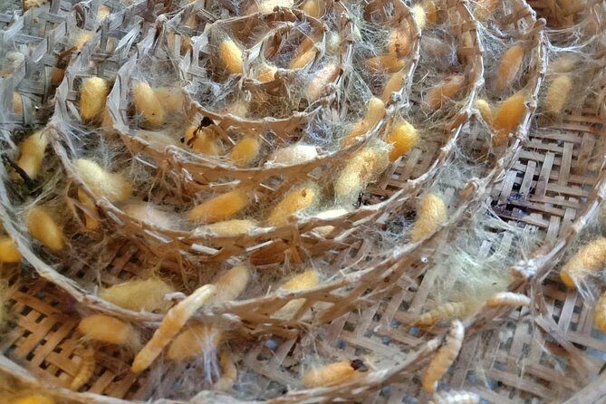 Completed Thai Silk Class Experience - An Authentic Introduction to Thai Silk Making