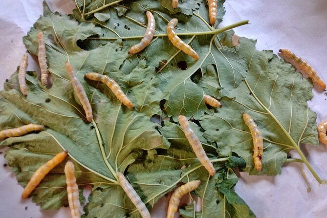 Completed Thai Silk Class Experience - Value and Practical Considerations