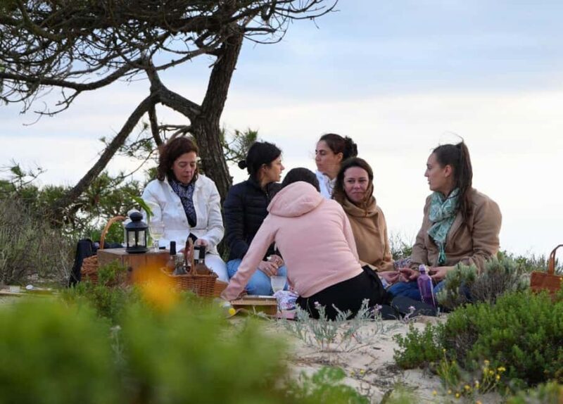 COMPORTA EXPERIENCE: LAND ROVER PREMIUM TOUR | PICNIC & DRONE INCLUDED - Discovering Comporta in Style: An In-Depth Look
