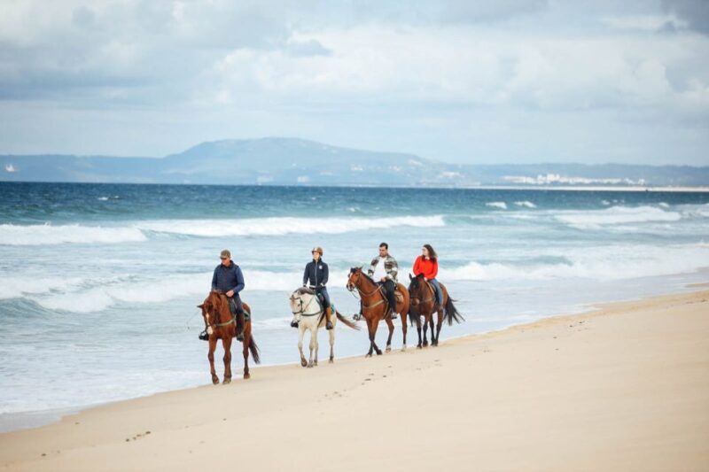 Comporta: Guided Horseback Riding Experience - Overview of the Horseback Riding Experience