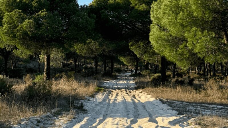 COMPORTA: LAND ROVER PREMIUM TOUR | PICNIC & DRONE INCLUDED - Key Points