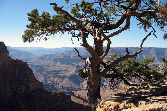 Comprehensive Grand Canyon Tour from Sedona - An In-Depth Look at the Tour: What Makes It Stand Out