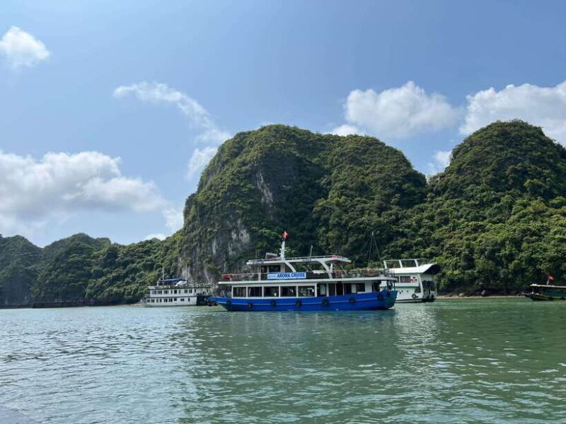 Con Dao Island Turtle Hatchery Visit & Coral Snorkeling Tour - A Deep Dive into the Experience